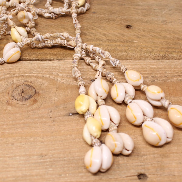 Shell Plant Hanger - Etsy