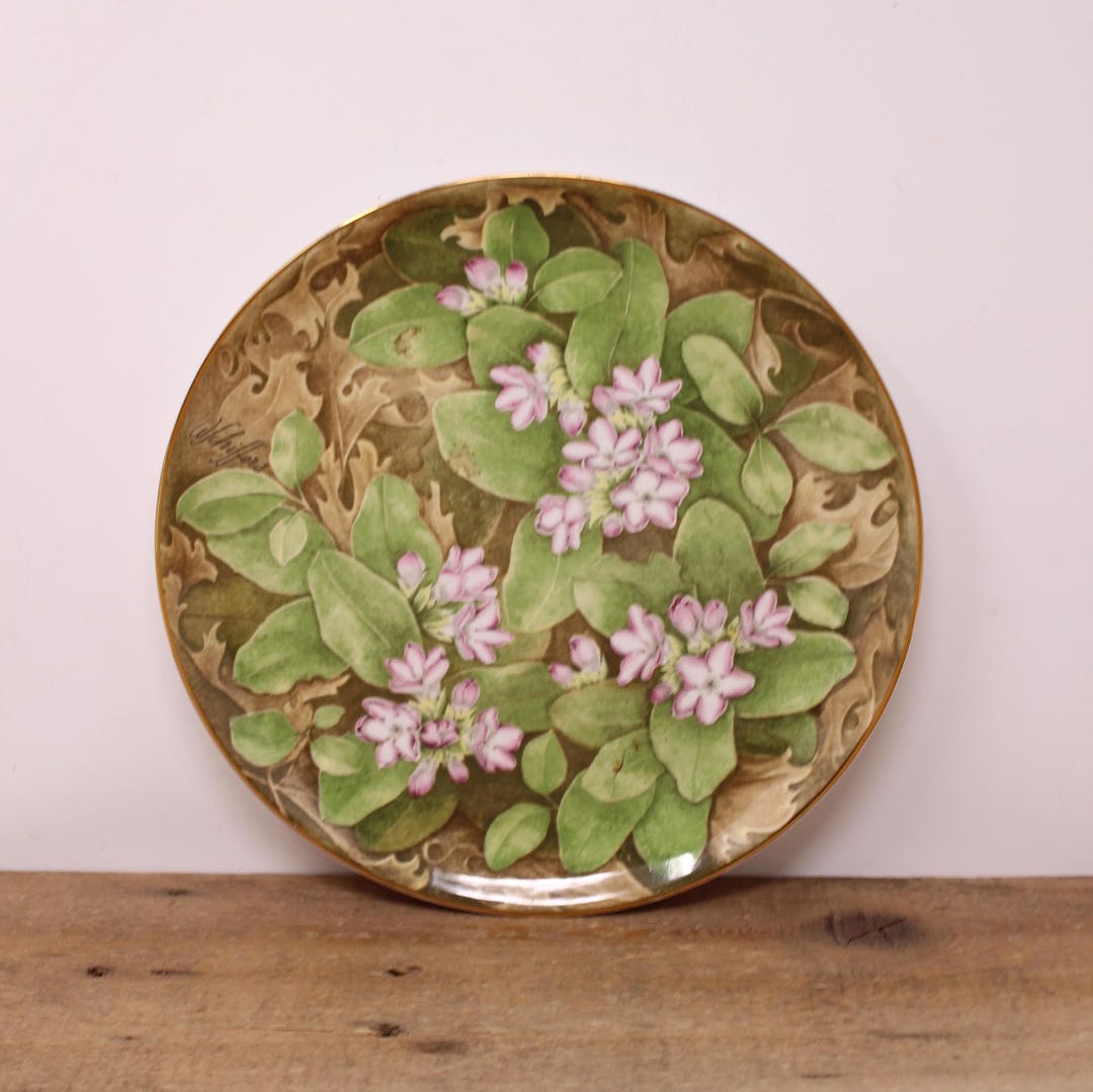 Vintage "the Nova Scotia - Mayflower" Design Wall Decor Plate by ...
