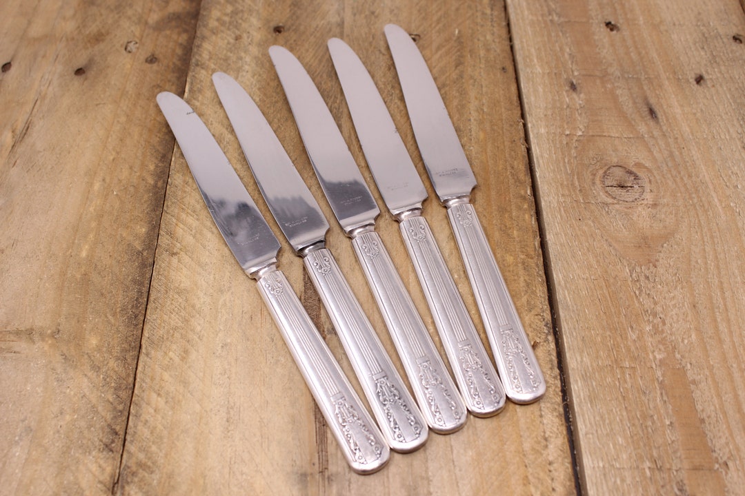 5 Vintage Lido - Wm. A. Rogers / Oneida - Dinner Knives - Etsy