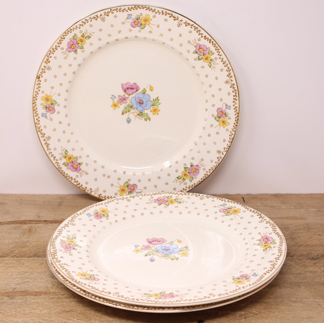 Vintage Barratt's of Staffordshire theme 3 Floral Dinner Plate 10 ...