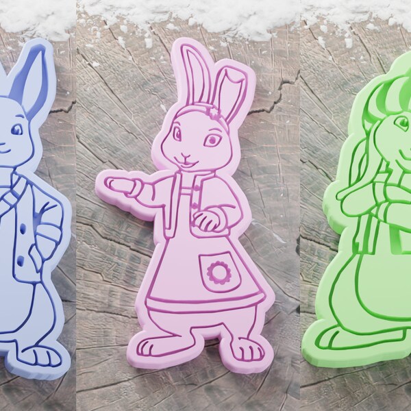 Peter Rabbit Cookies - Etsy