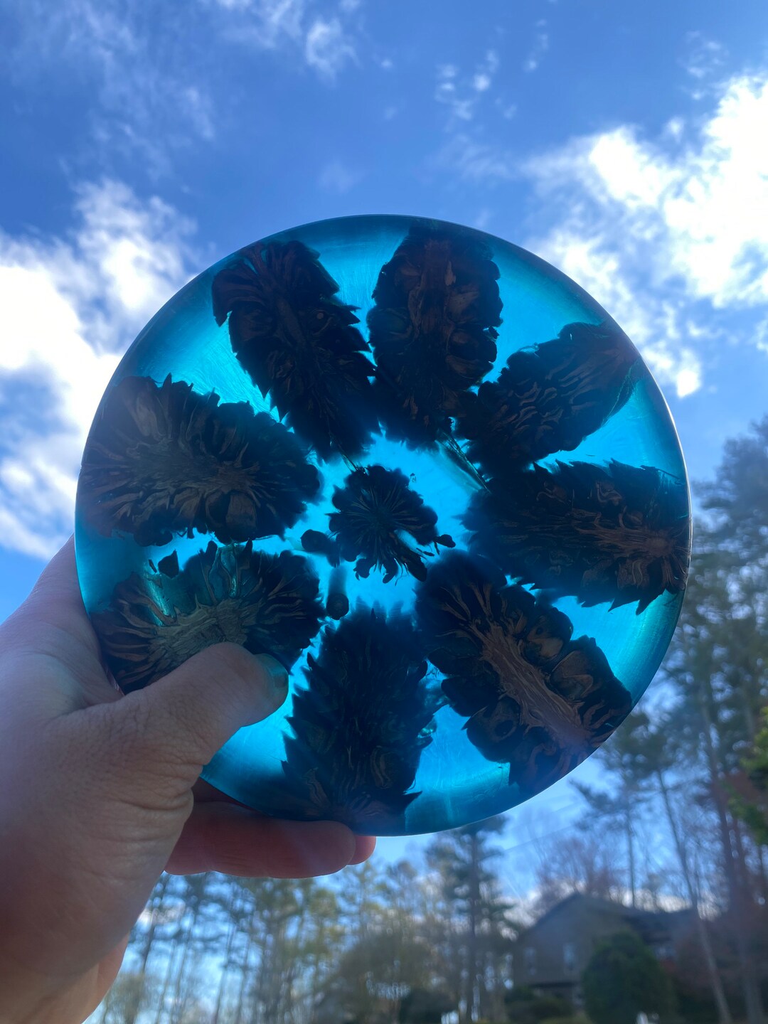 Hand Turned Magnolia Seed Pods and Epoxy - Etsy