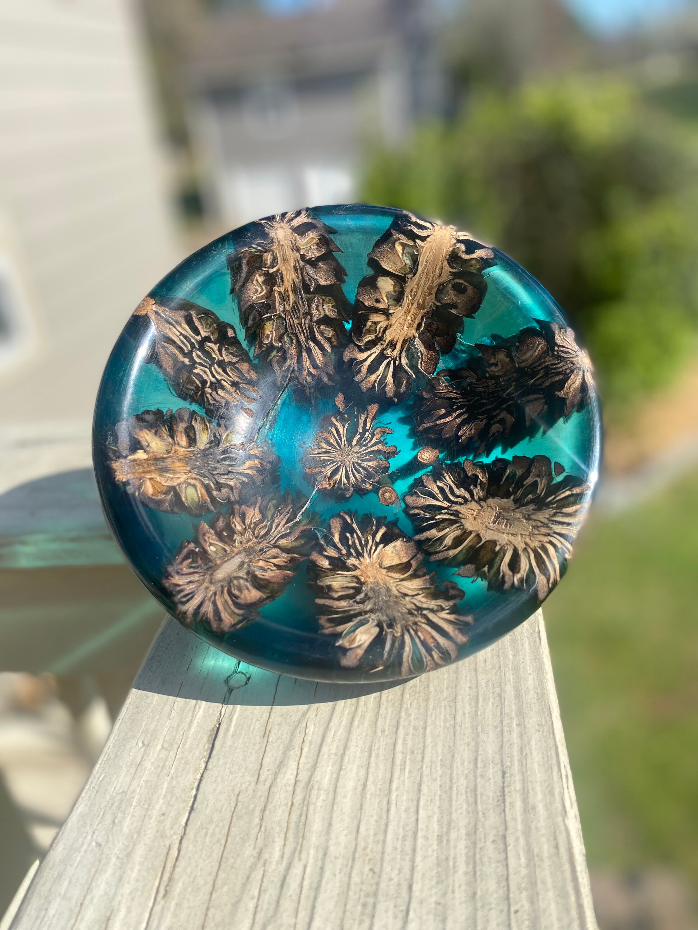 Hand Turned Magnolia Seed Pods and Epoxy - Etsy