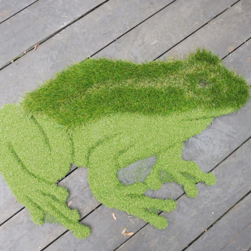Frog Rug - Etsy Australia