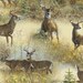 Green Wild Wings Scenic Country Deer Hunting Woodland Animals Fabric by ...
