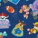 Nick Junior Paw Patrol Cotton Print Fabric by the Yard FBTY Fat ...
