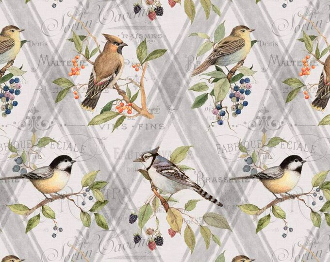 Susan Winget Diamond Bird Premium Berries Fabric by the Yard FBTY Fat ...
