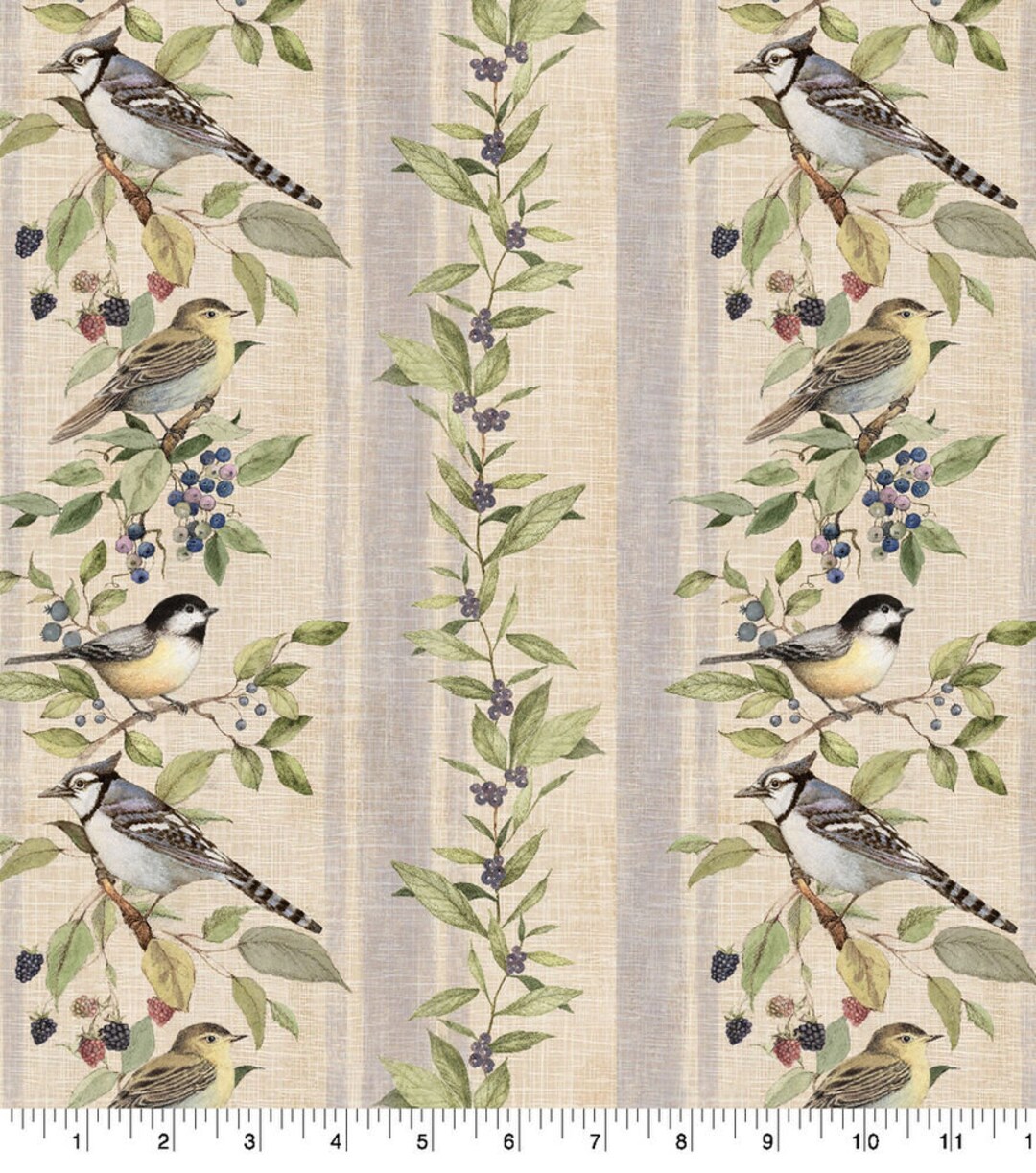 Susan Winget Stripes Beige Bird Premium Berries Fabric by the Yard FBTY ...