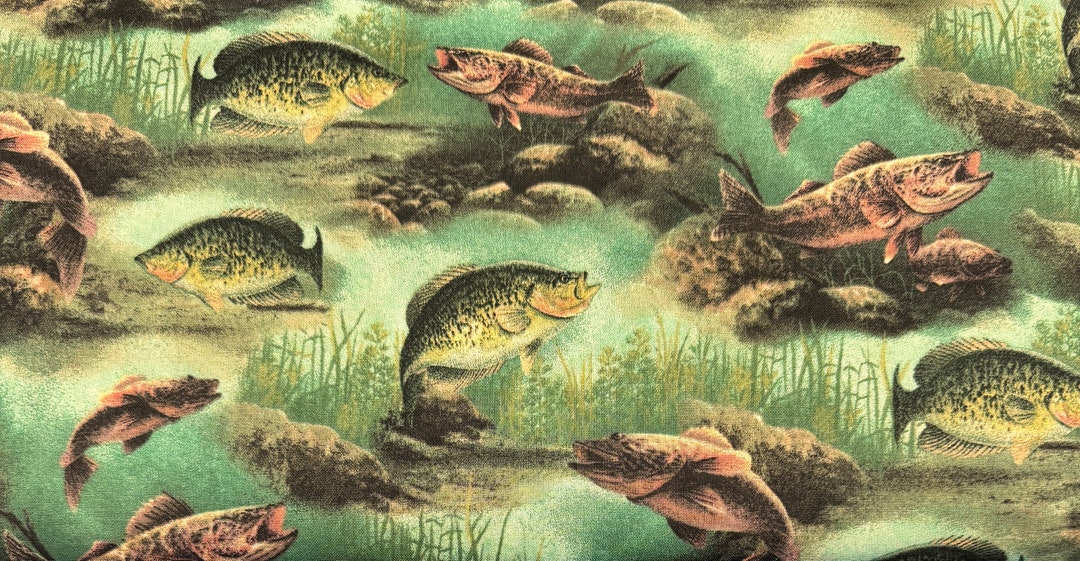 Scenic Fish Fishing Angler Novelty Fabric by Fat Quarter FQ Half 100% ...