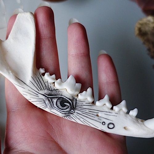 Hand Painted Red Fox Jaw - Etsy