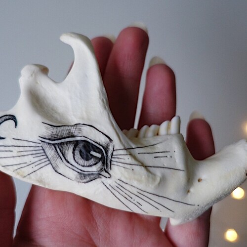 Hand Painted Red Fox Jaw - Etsy