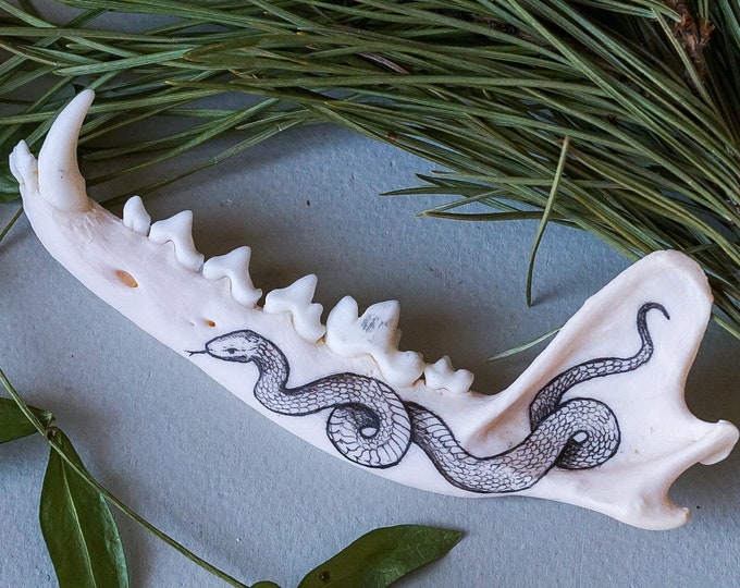 Hand-painted Red Fox Jaw - Etsy