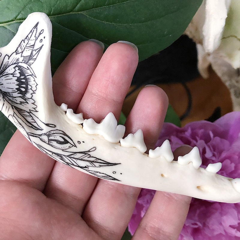 WhiteBoneStore - Etsy