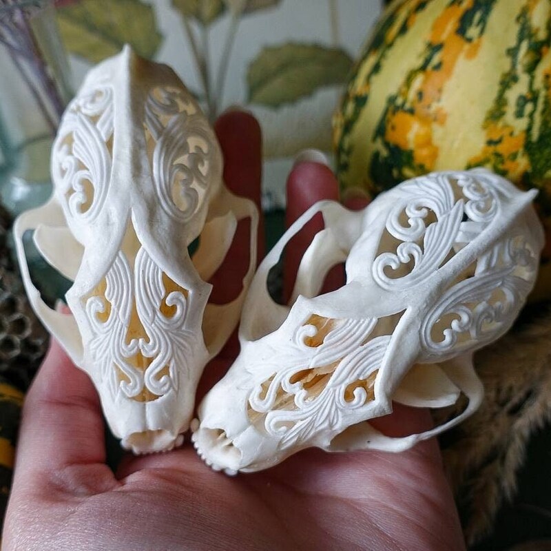 Hand Carved Bone - Etsy