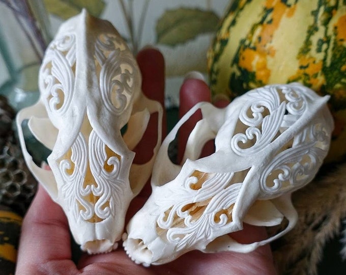 Hand Carved Marten Skull - Etsy