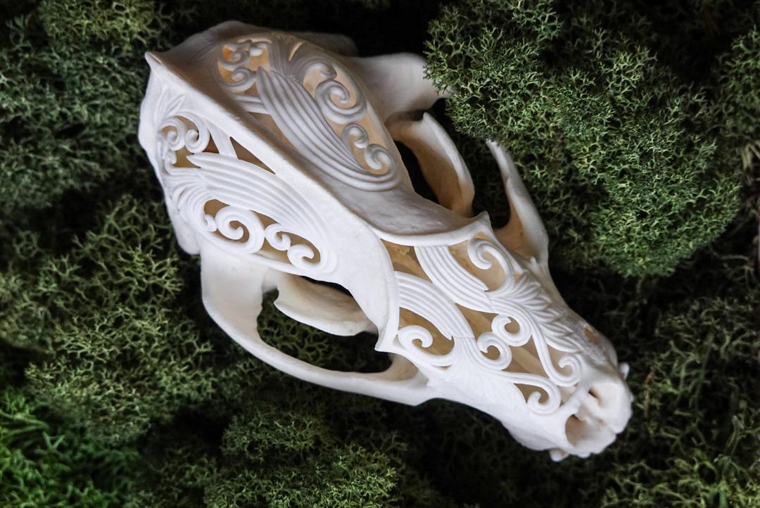 Hand Carved Badger Skull - Etsy
