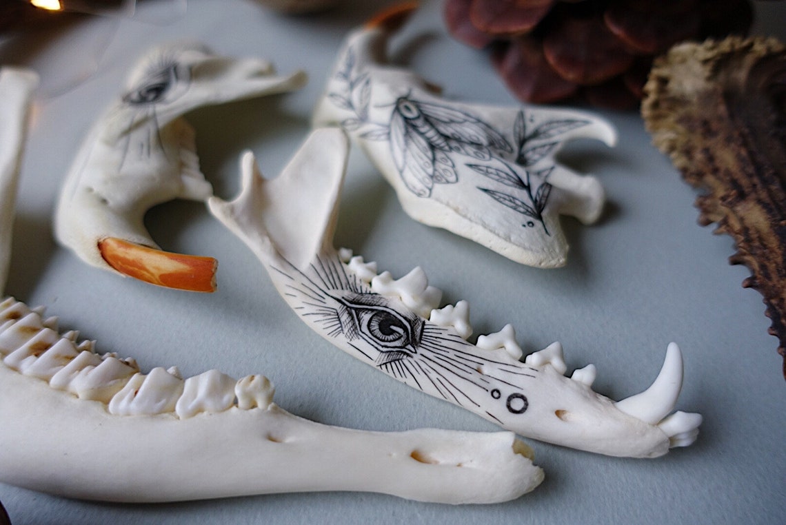 Hand Painted Red Fox Jaw | Etsy