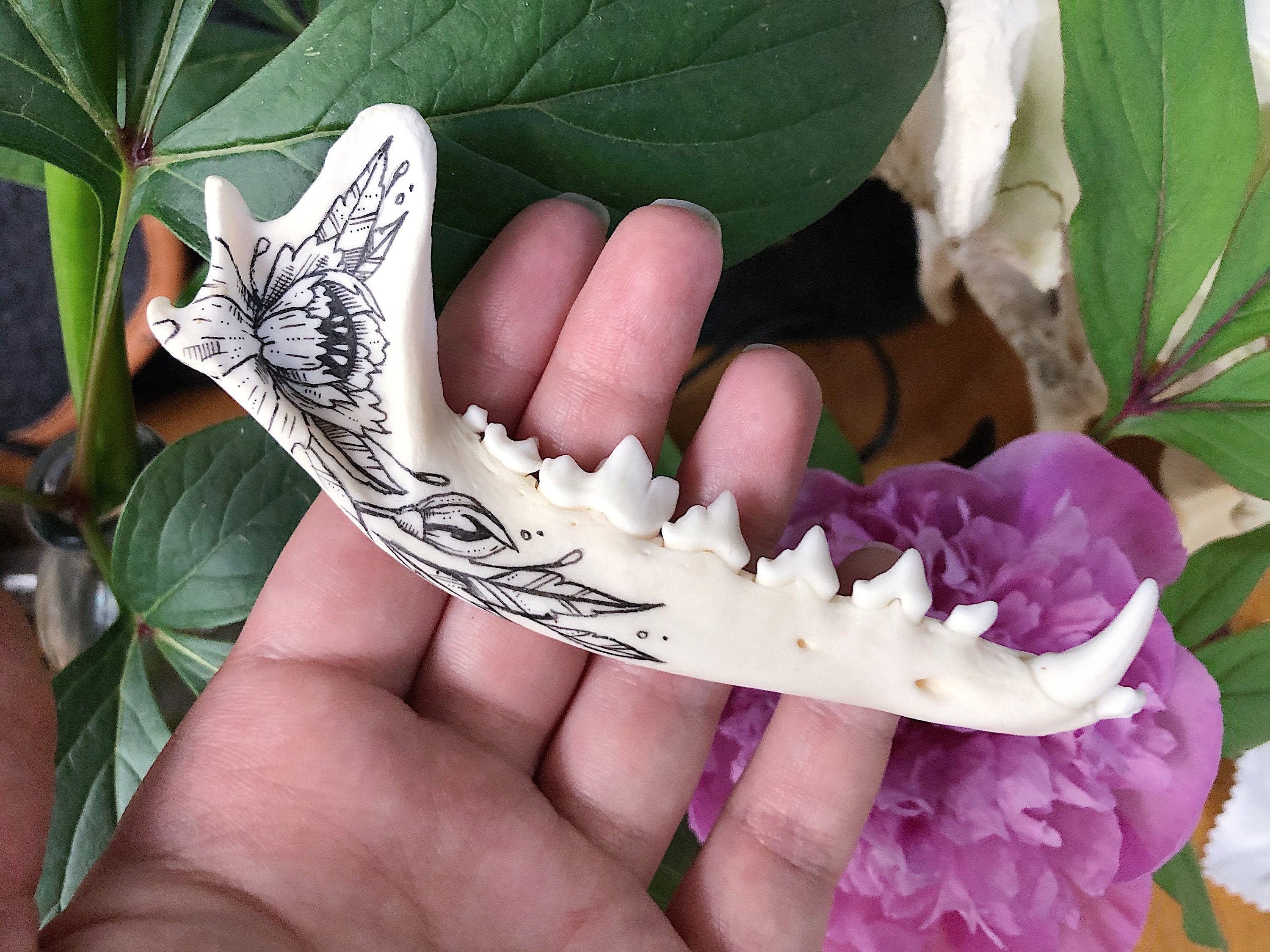 Painted Red Fox Jaw - Etsy