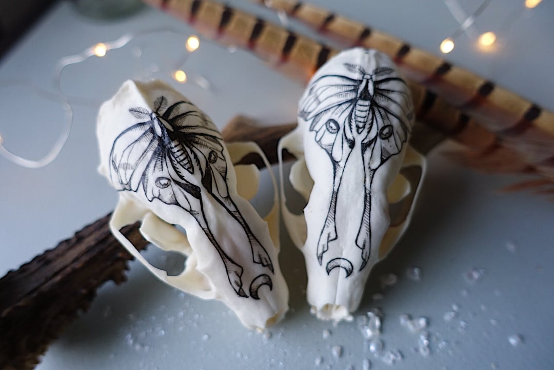 Hand Painted Marten Skull - Etsy