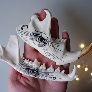 Hand Painted Red Fox Jaw - Etsy