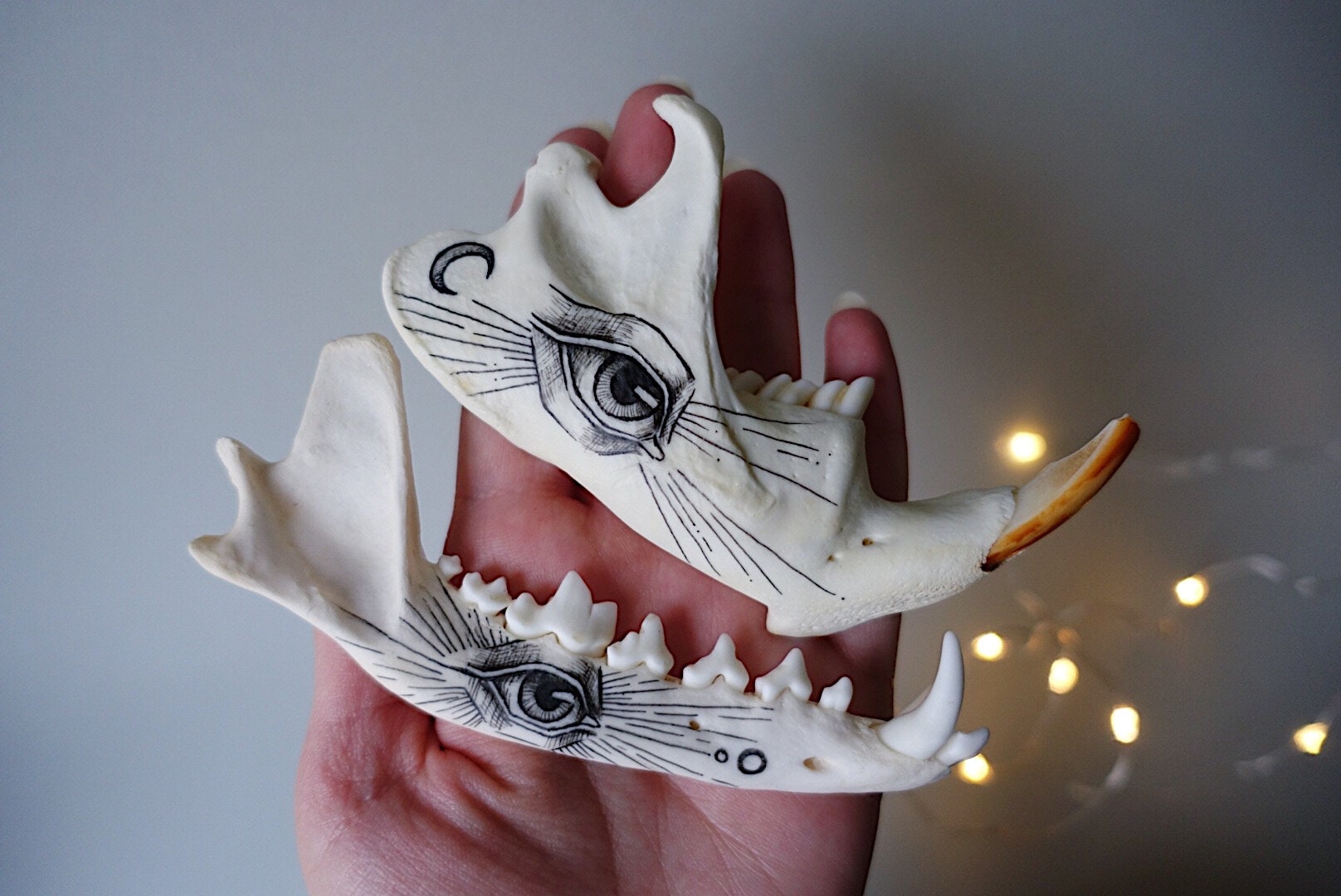 Hand Painted Red Fox Jaw - Etsy