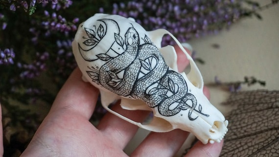 Hand Painted Skull of Marten Home Decor Cabinet De - Etsy