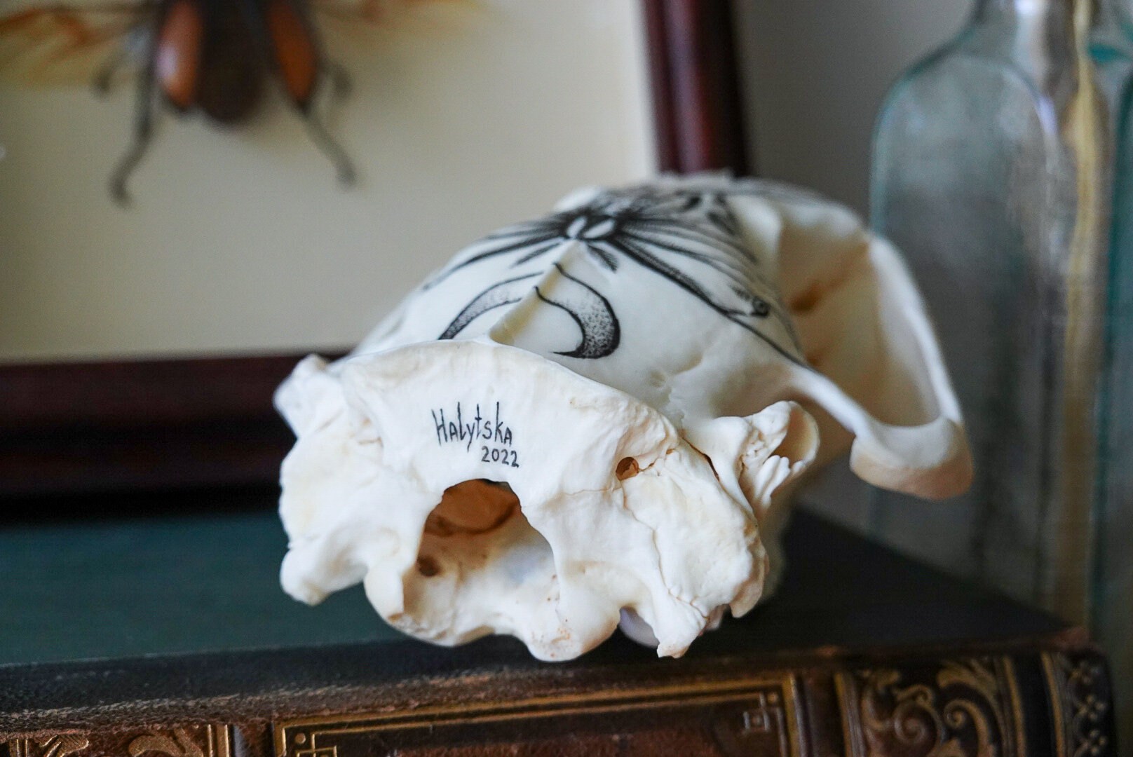 Hand Painted Beaver Home Decor Cabinet De Curiosity Gothic - Etsy