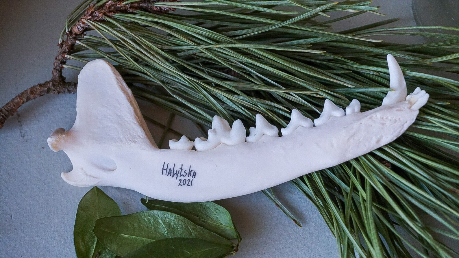 Hand-painted Red Fox Jaw - Etsy