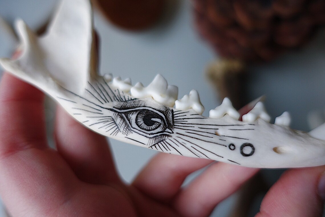 Hand Painted Red Fox Jaw | Etsy