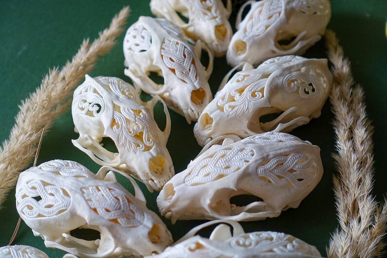 Hand Carved Marten Skull - Etsy