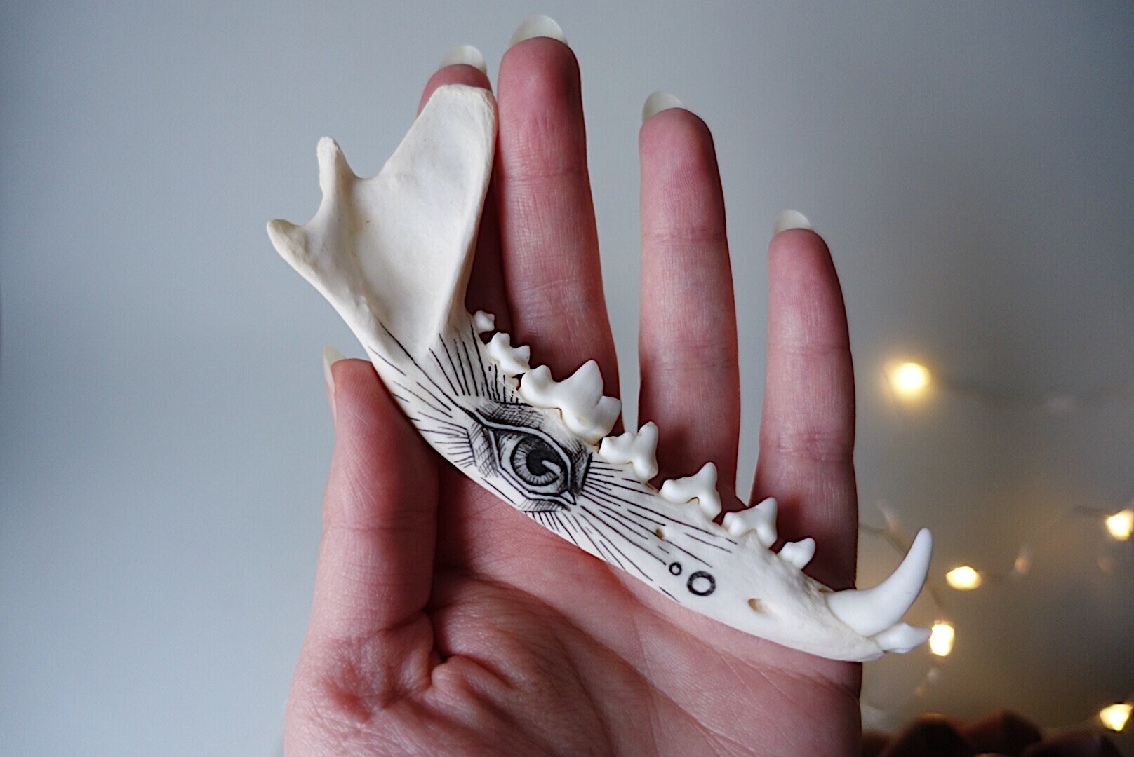 Hand Painted Red Fox Jaw - Etsy