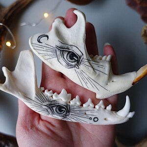 Hand Painted Red Fox Jaw - Etsy