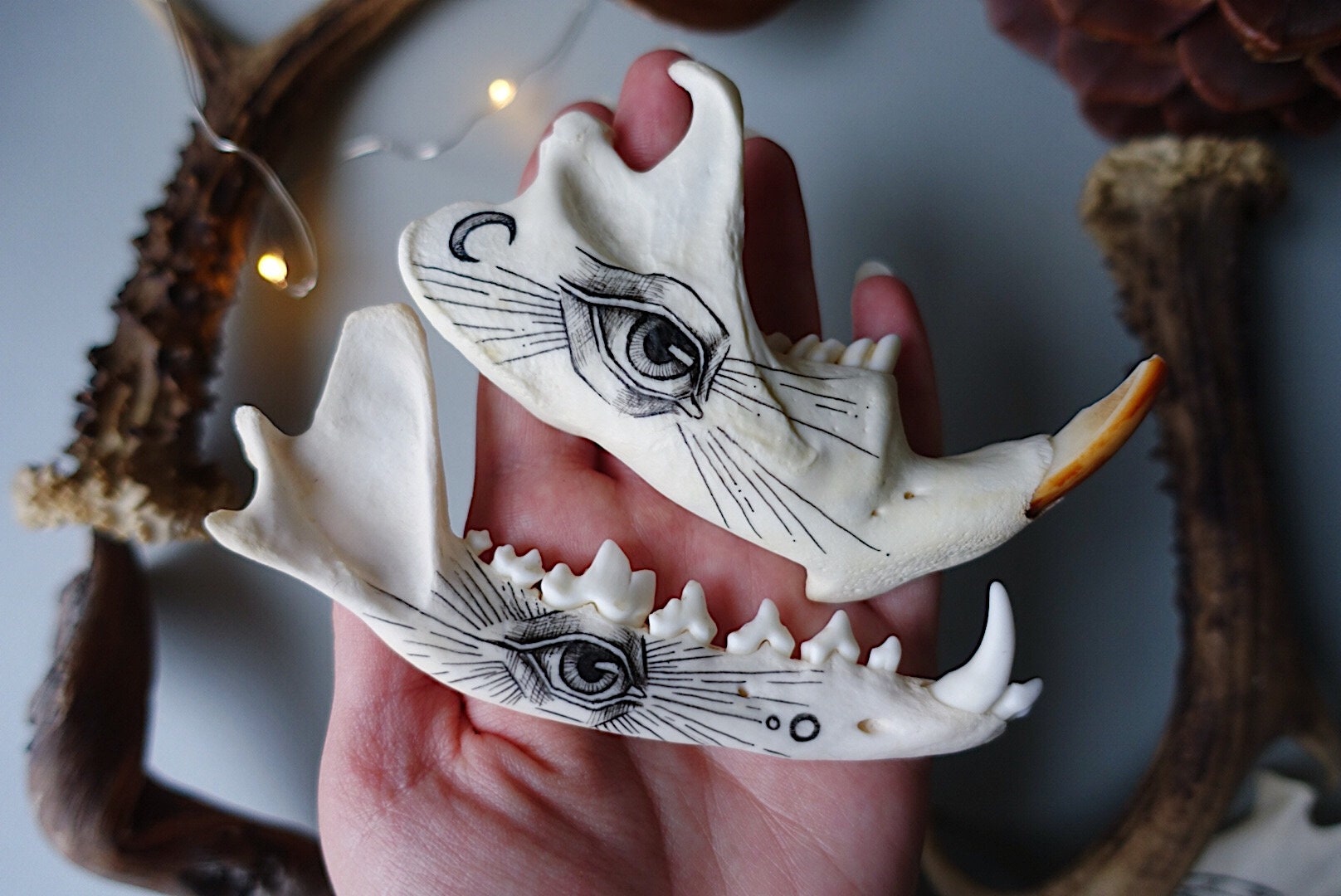 Hand Painted Red Fox Jaw - Etsy