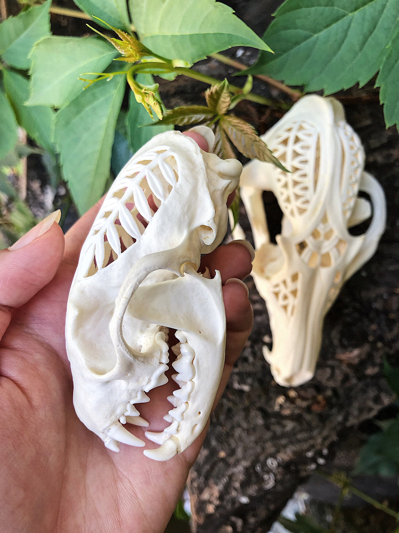 Hand Carved Marten Skull | Etsy