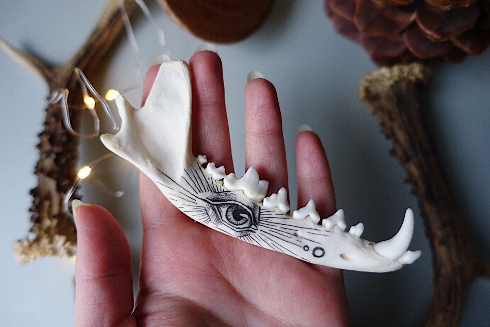 Hand Painted Red Fox Jaw | Etsy