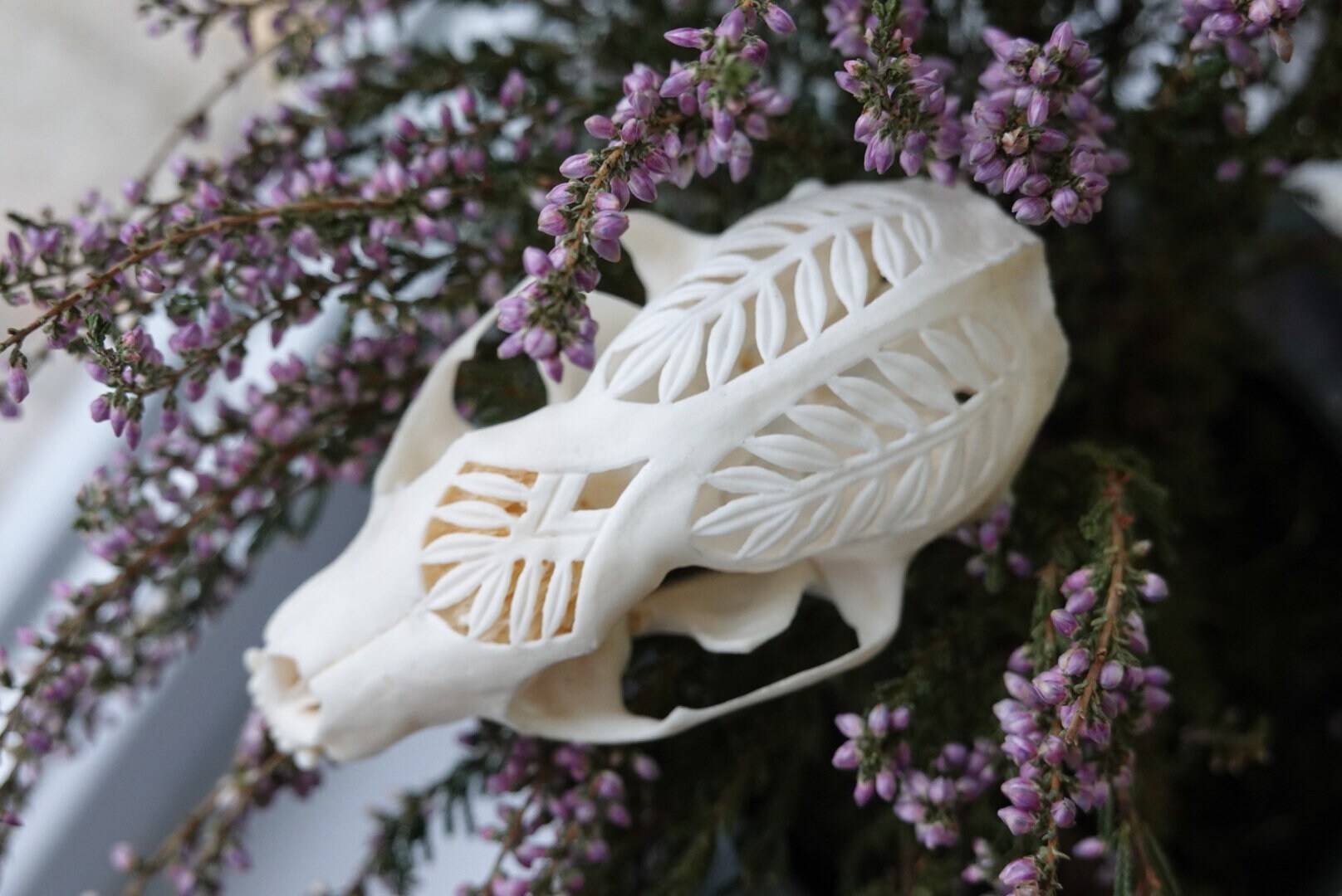 Hand Carved Marten Skull | Etsy