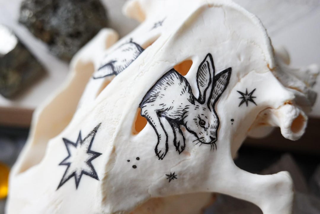 Hand Painted Beaver - Home Decor, Cabinet De Curiosity, Gothic Home ...