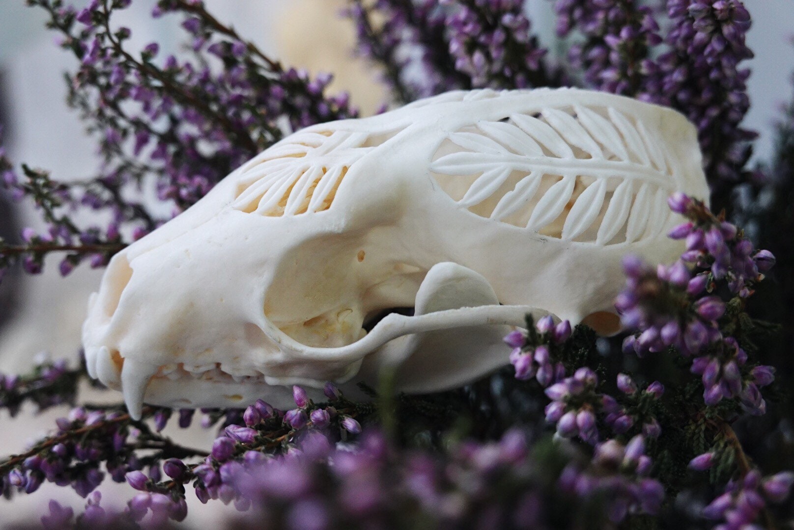 Hand Carved Marten Skull | Etsy