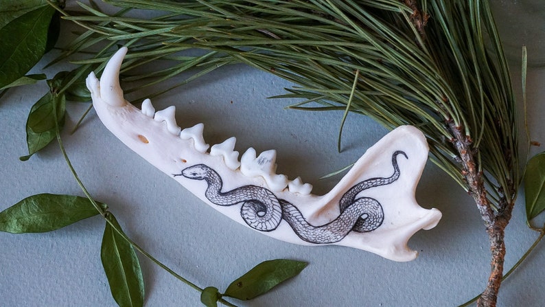 Hand-painted Red Fox Jaw - Etsy