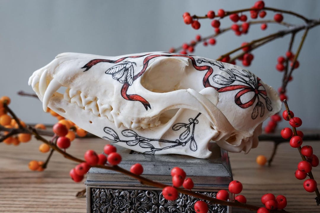 Hand Painted Skull of Red Fox "mistletoe" - Etsy