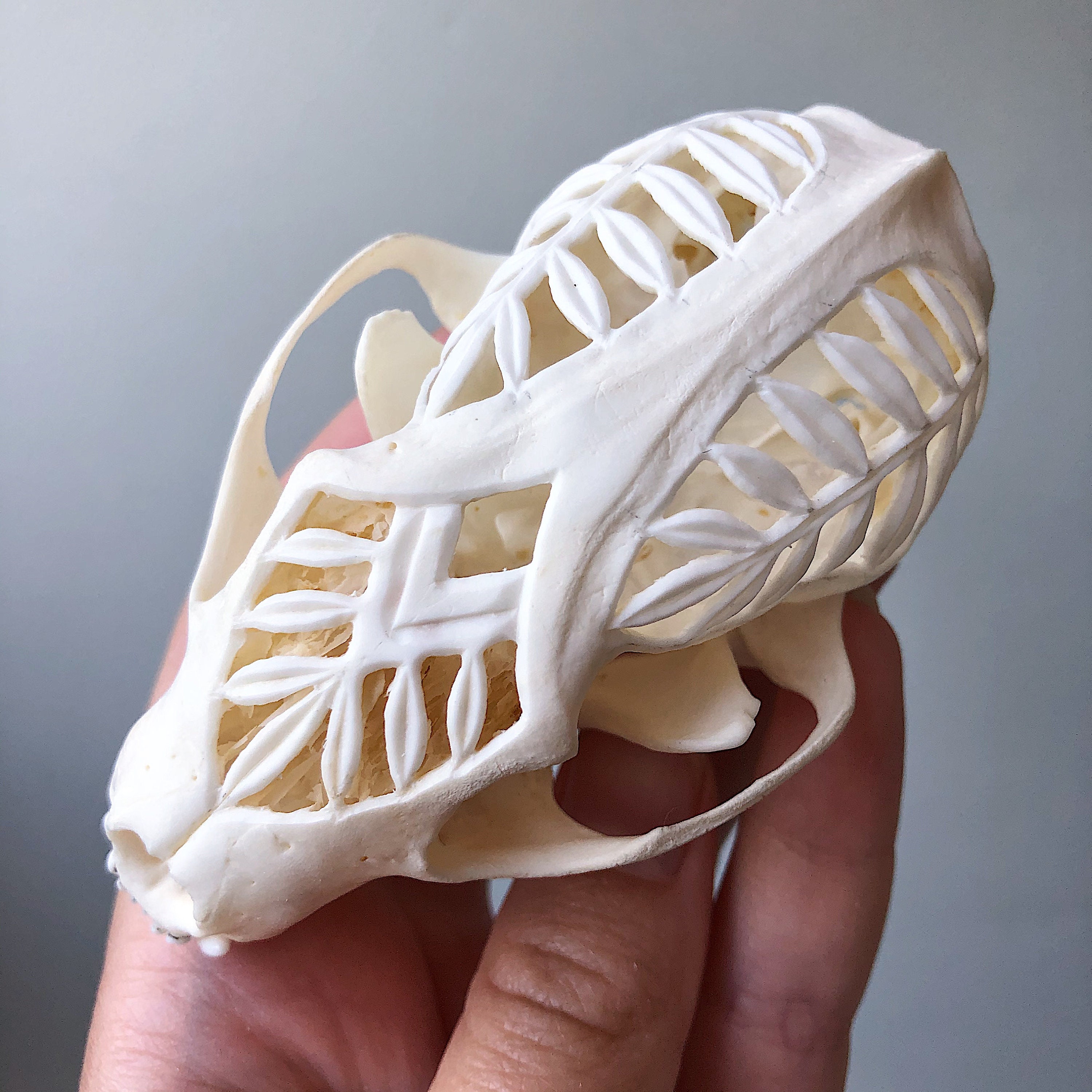 Hand Carved Marten Skull | Etsy