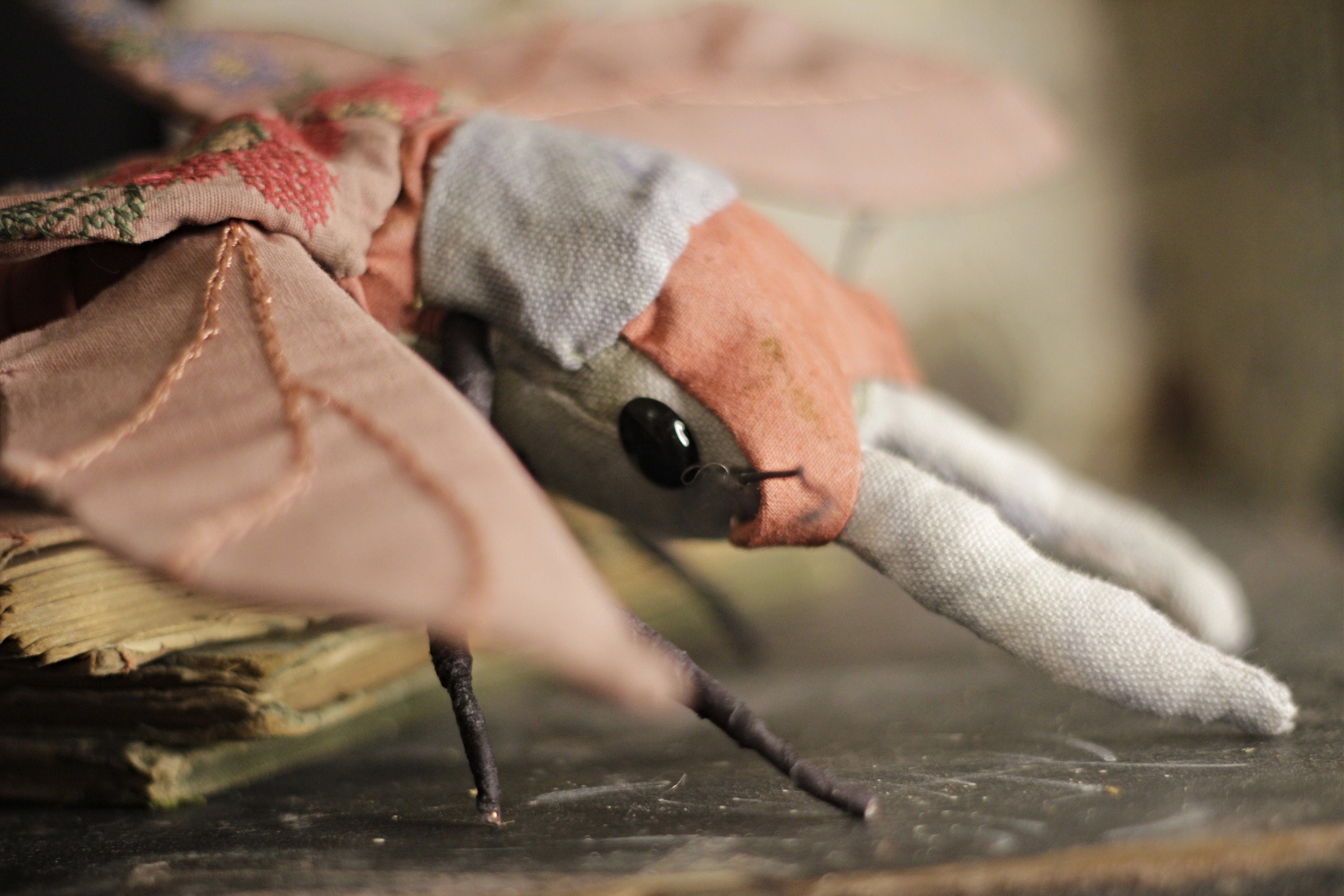 Textile Insect Sculpture Faux Taxidermy Fabric Bettle Soft - Etsy