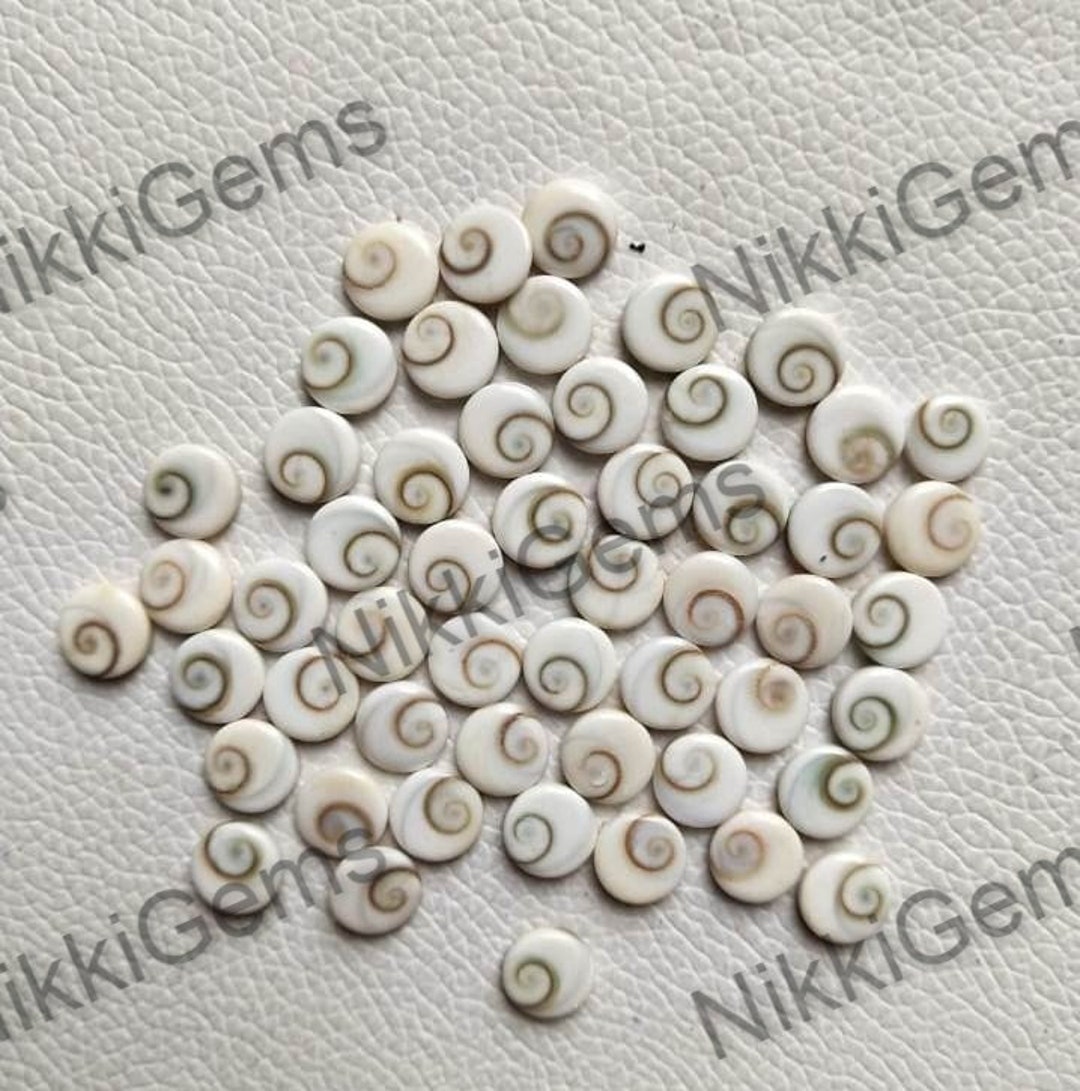 Shiva Eve Cabochon Natural Shiva Eye Gemstone Cabochon Shiva Eye Shell ...