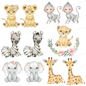 Watercolor Jungle Animals, Cute Baby Animals Clipart, Safari Animals ...
