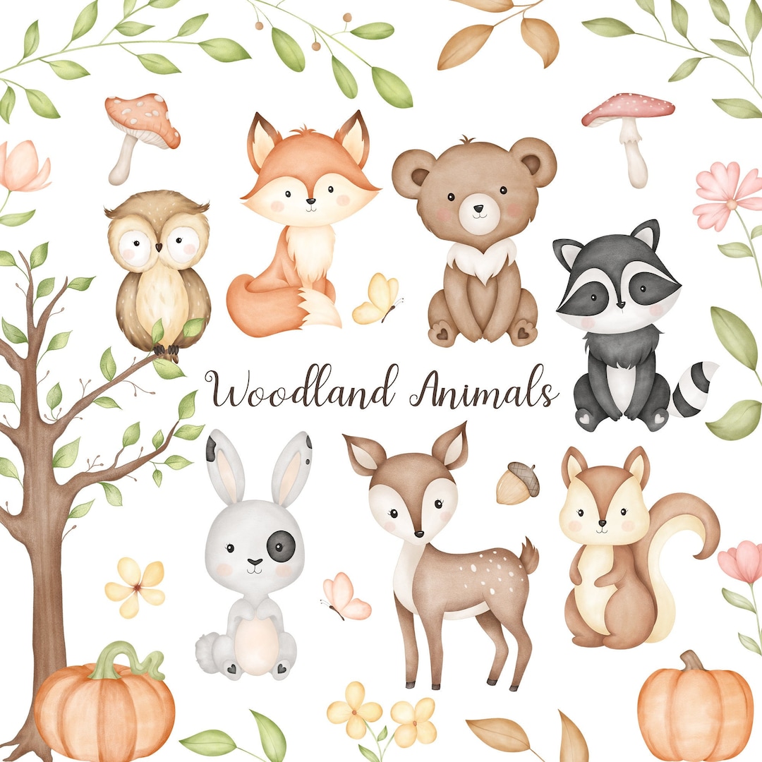 Woodland Animals Clipart Cute Baby Animals Clipart PNG - Etsy
