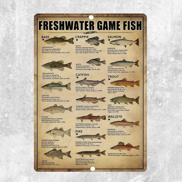 Fresh Fish Sign - Etsy