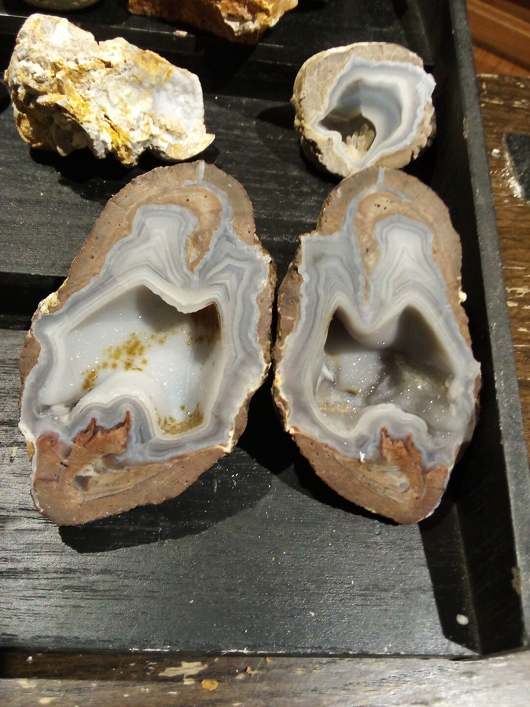 Blue Lace Agate Utah Dugway Geode Pair - Etsy