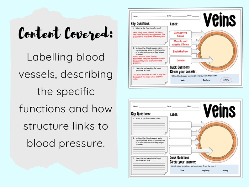 Blood Vessels GCSE Biology Revision Science Learning Teaching Lesson ...