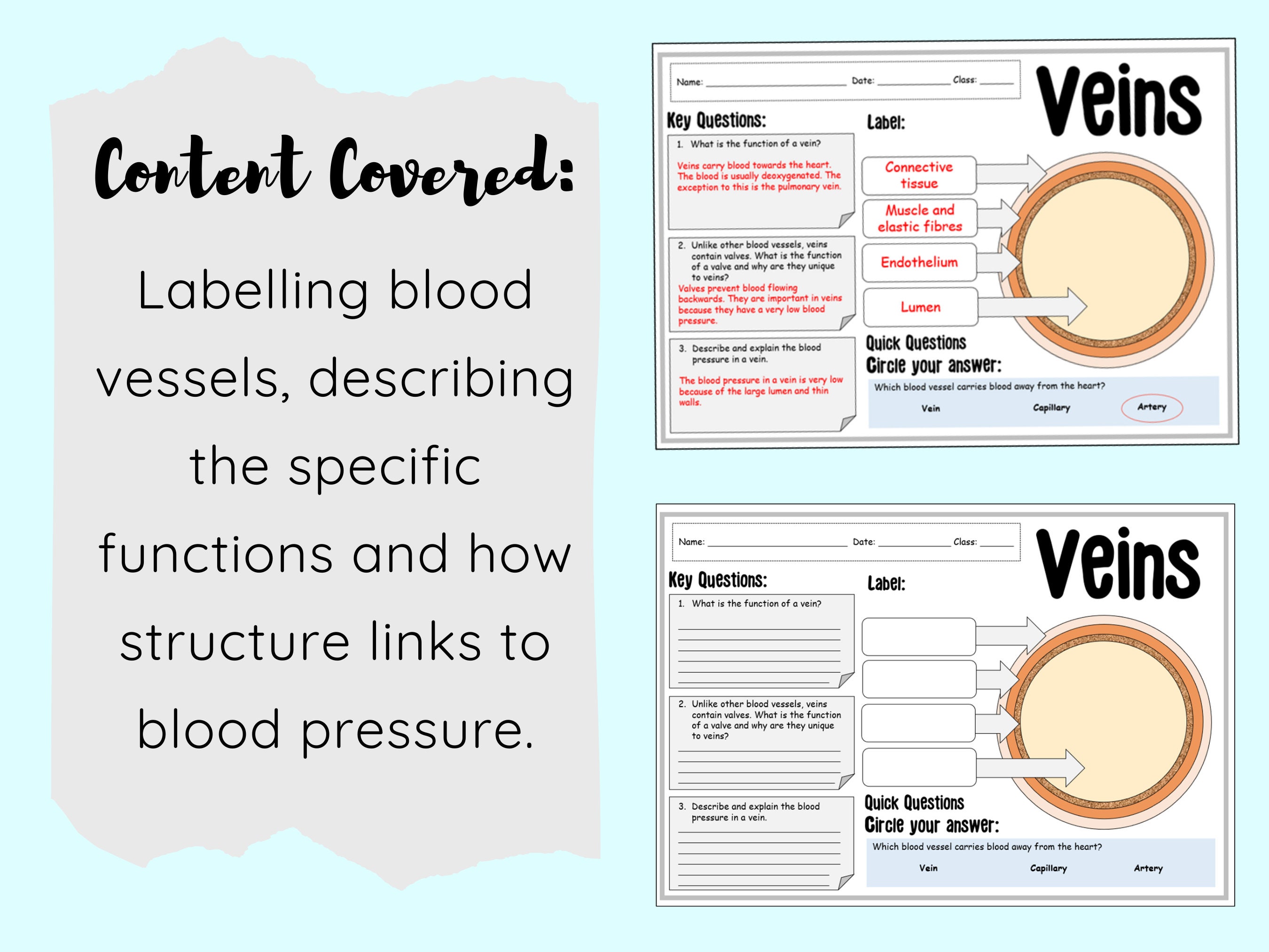 Blood Vessels GCSE Biology Revision Science Learning Teaching Lesson ...