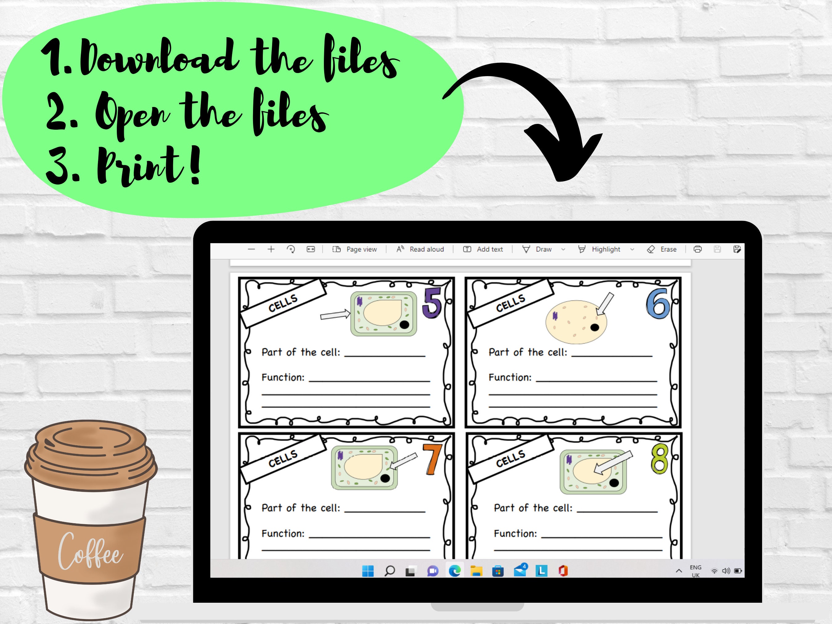 Plant and Animal Cell Task Cards GCSE Biology Revision Resource - Etsy
